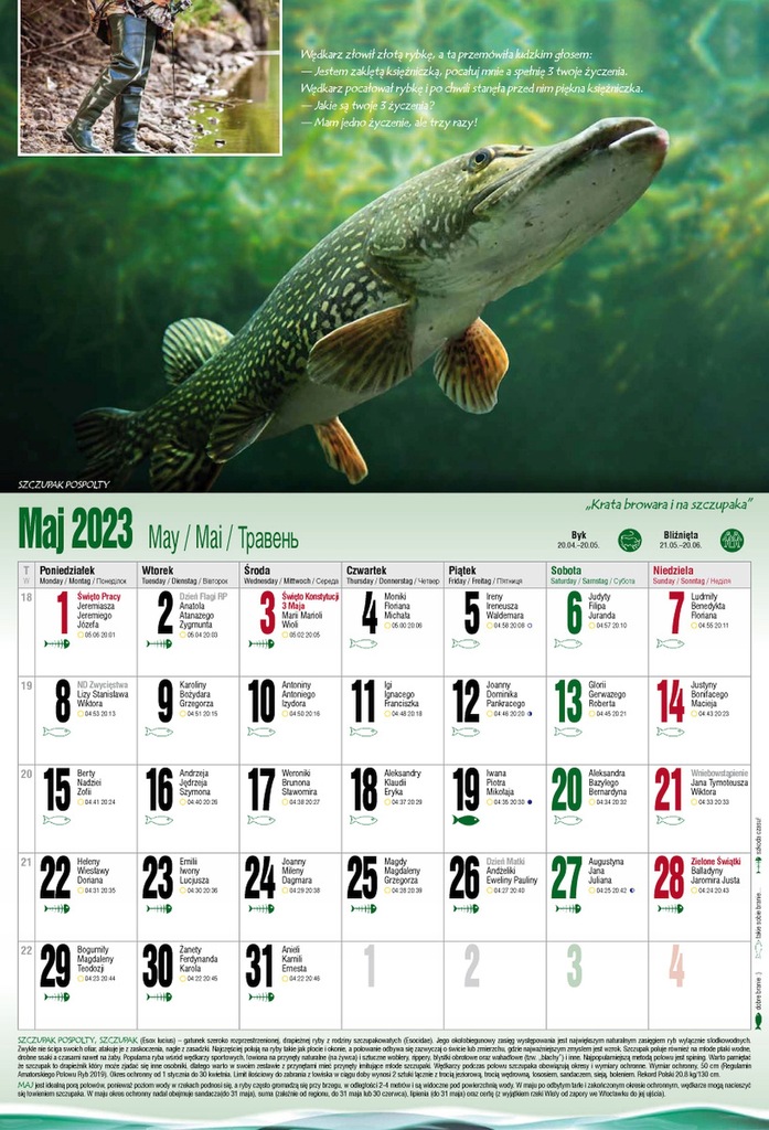 Kalendarz 2023 planszowy DUŻY ścienny WĘDKARSKI - 12784826014 - oficjalne archiwum Allegro
