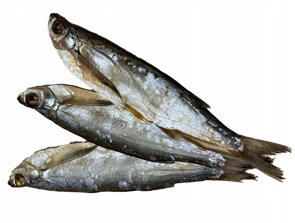 RYBA SUSZONA DO PIWA CIOSA CZECHOŃ 500+/-20g - 12793542271 - oficjalne ...