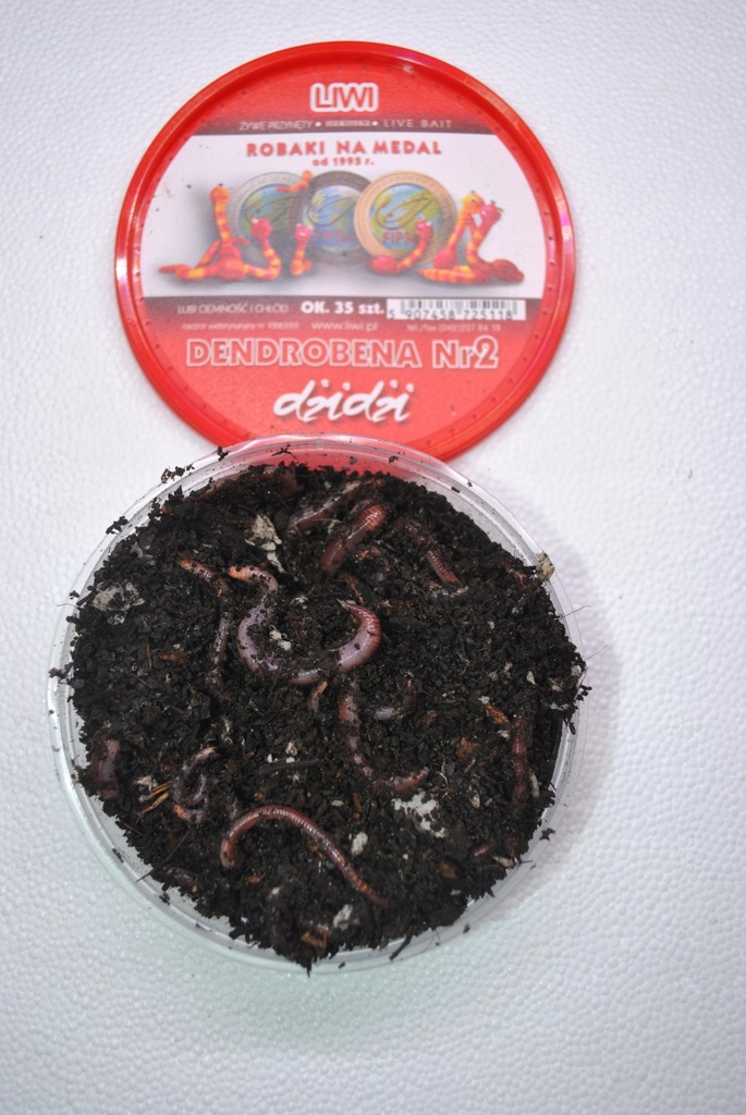 LIWI DENDROBENA NR 2 ROBAKI CZERWONE ROBAK - 12046568222 - oficjalne archiwum Allegro