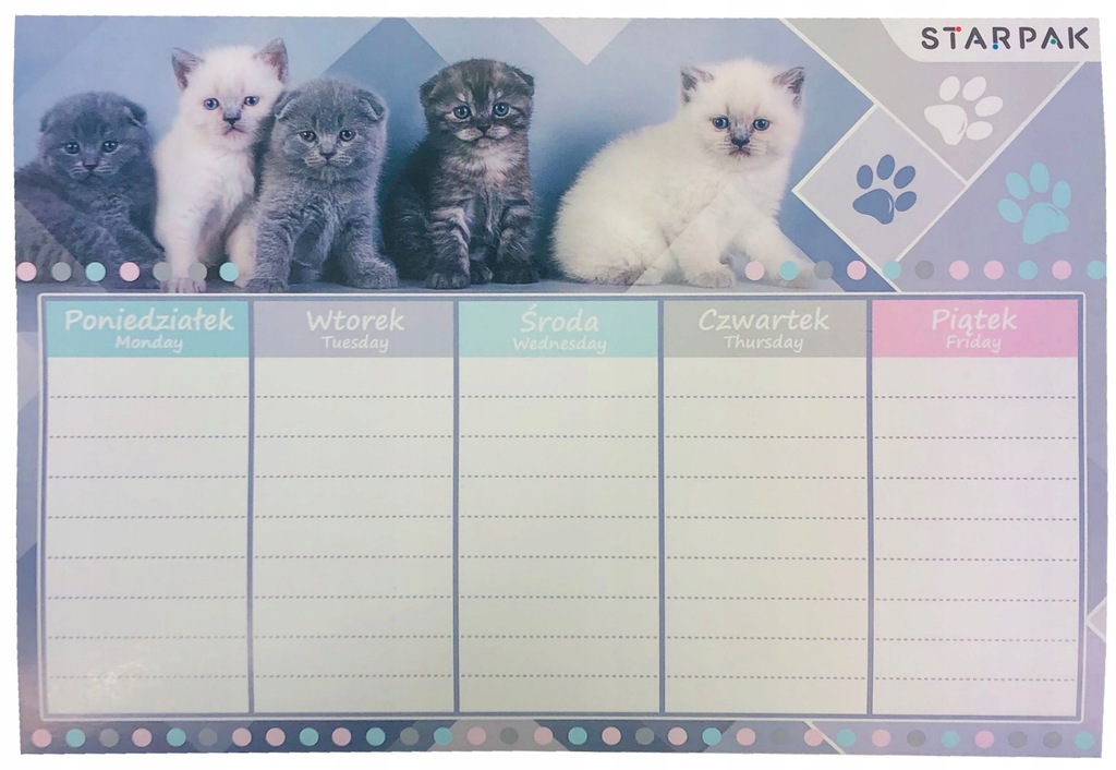 KOTKI KOTEK KOT PLAN LEKCJI TABLICZKA MNOŻENIA - 9015050113 - oficjalne archiwum Allegro