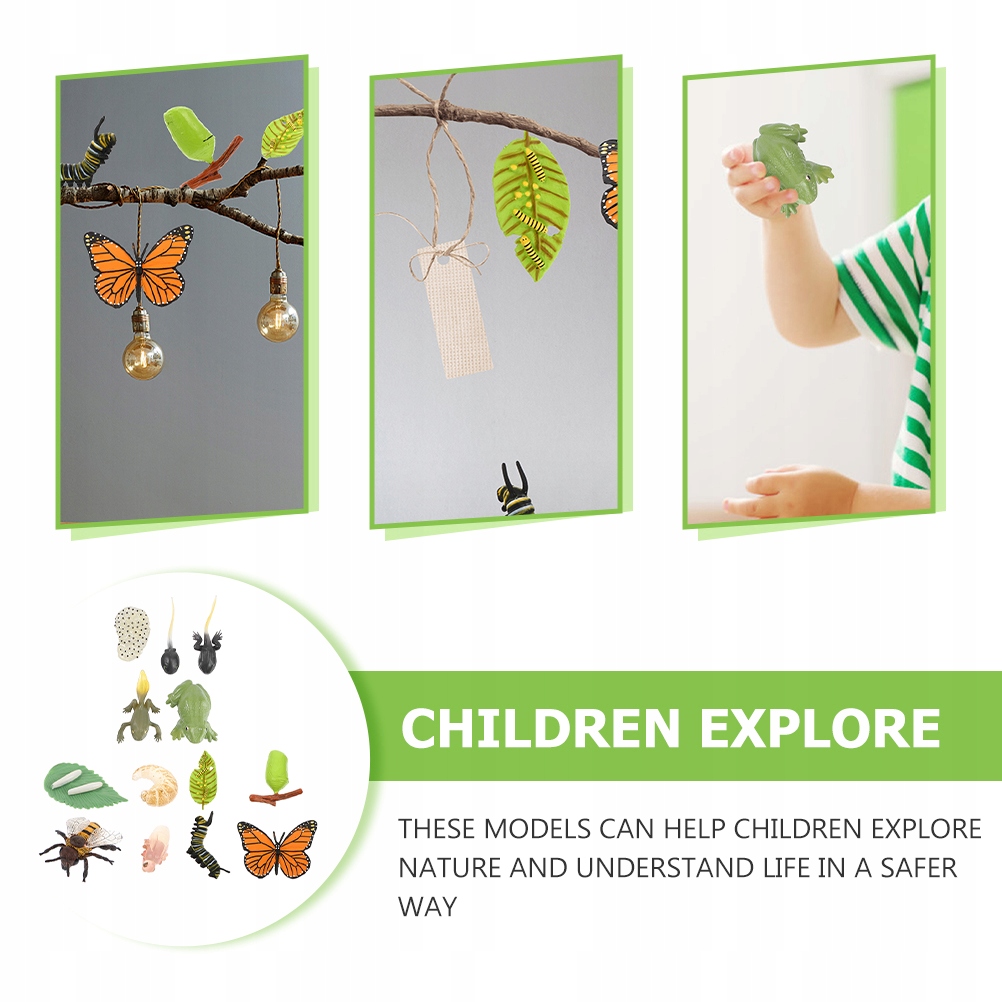 3 zestawy owadów modele Motyle Model Bug zabawki - 12942800855 - oficjalne archiwum Allegro