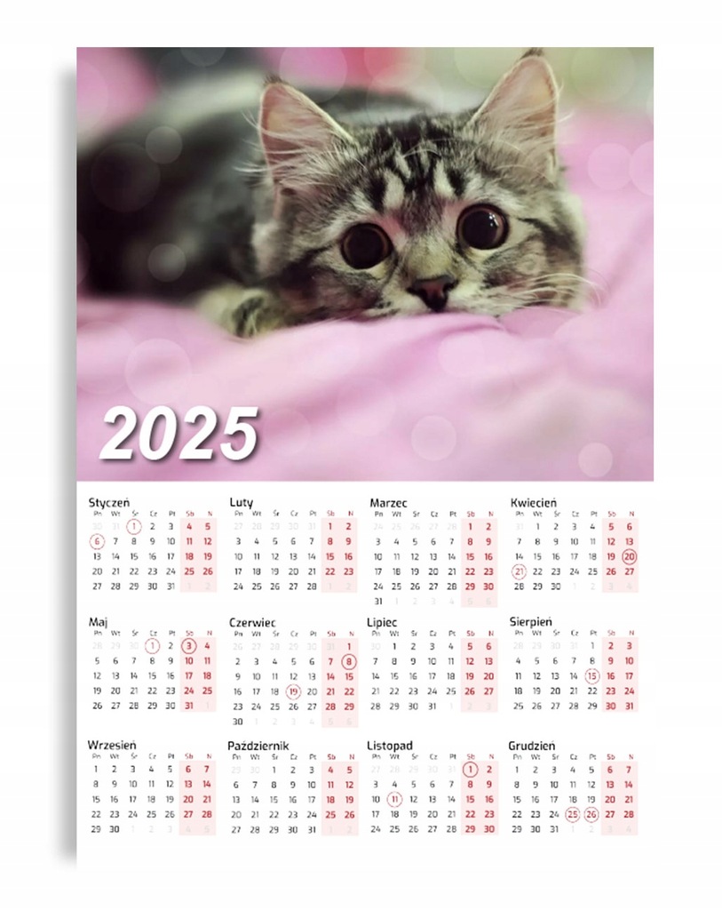 KALENDARZ PLAKATOWY A4 KOTY 10 2025 ELEGANCKI NA PREZENT - 16926475038 - oficjalne archiwum Allegro