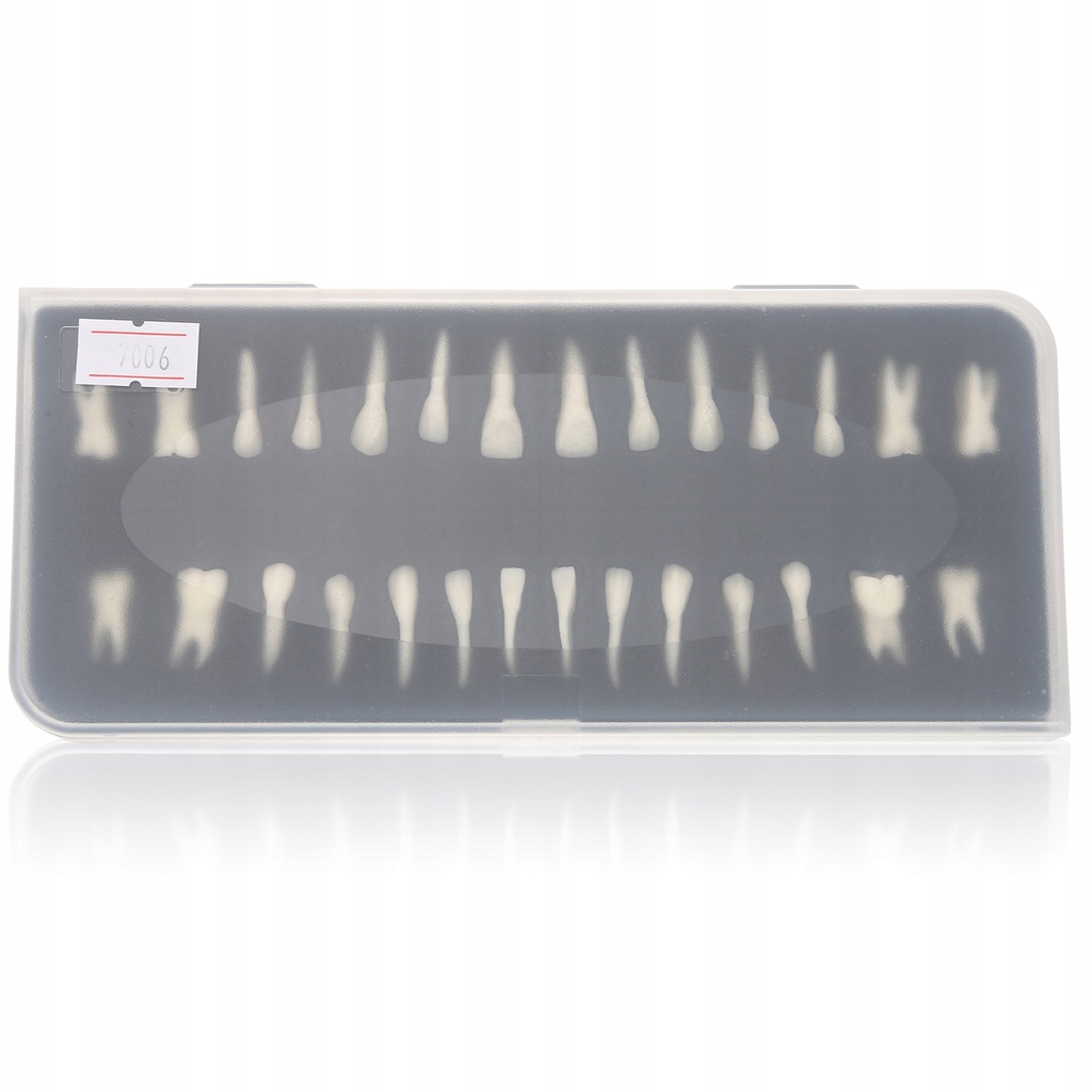 Resin Tools 25 Tooth Models Artificial Teeth Props - 13325837899 ...