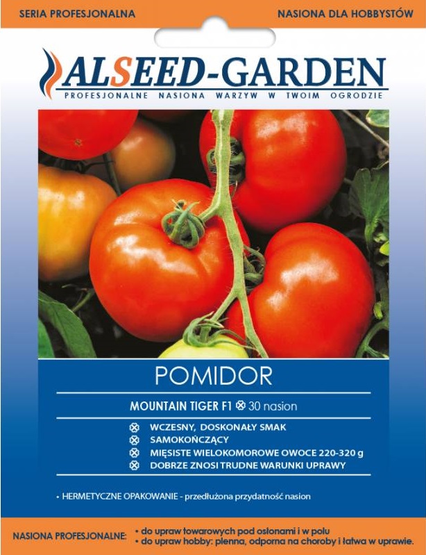 POMIDOR MOUNTAIN TIGER F1 TUNELOWY SZKLARNIOWY WCZESNY NASIONA HOLENDERSKIE - 11885199121 ...