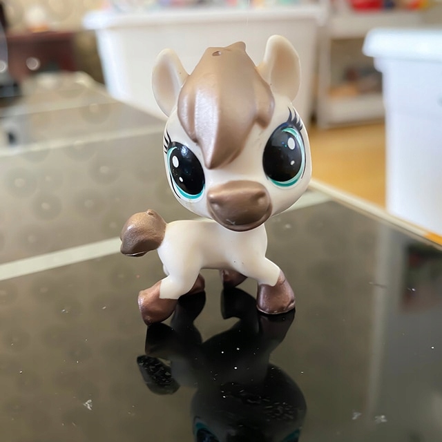 Lps psy nowy sklep zoologiczny kolekcja rysunek Co - 12718063769 ...