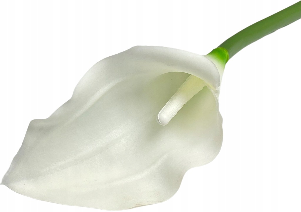 KALLA GUMOWA Kalia Gałązka KWIATY SZTUCZNE - 12528233680 - oficjalne ...