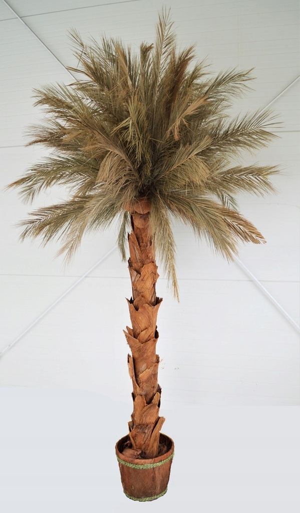 Palma sztuczna sztuczne drzewka kwiaty palmy boho - 11321099463 ...