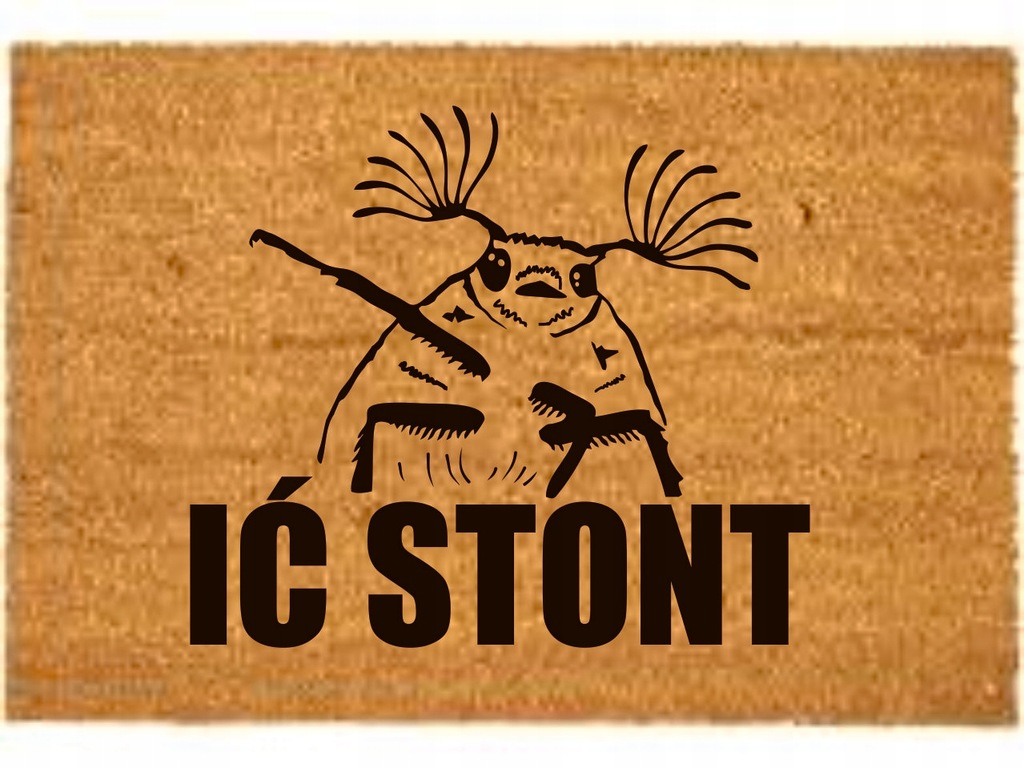 WYCIERACZKA kokosowa pod drzwi IĆ STONT - 13567657965 - oficjalne ...