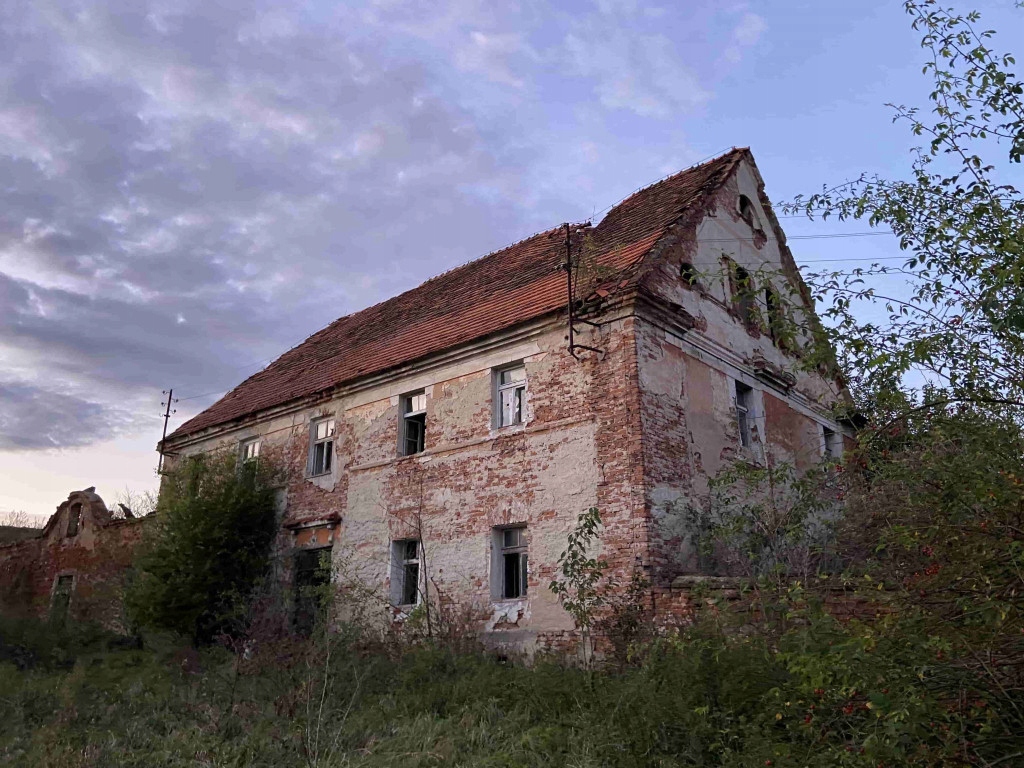 Działka, Ziębice, Ziębice (gm.), 4831 m² - 13320307730 - oficjalne ...