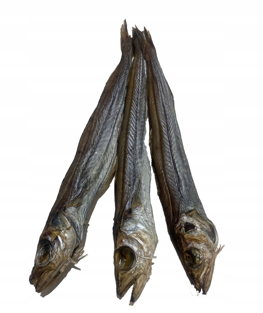 RYBA SUSZONA DO PIWA MERLAN (PUTASU) 500+/-20g - 12794340214 ...