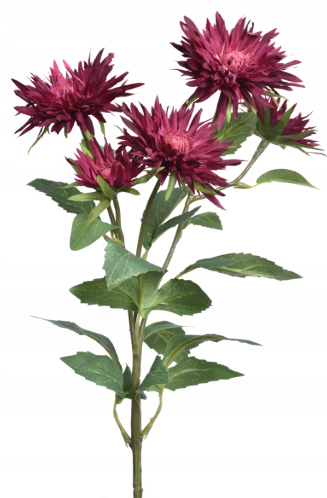 Bukiet aster kwiaty sztuczne 70 cm bordowy - 13844588404 - oficjalne ...