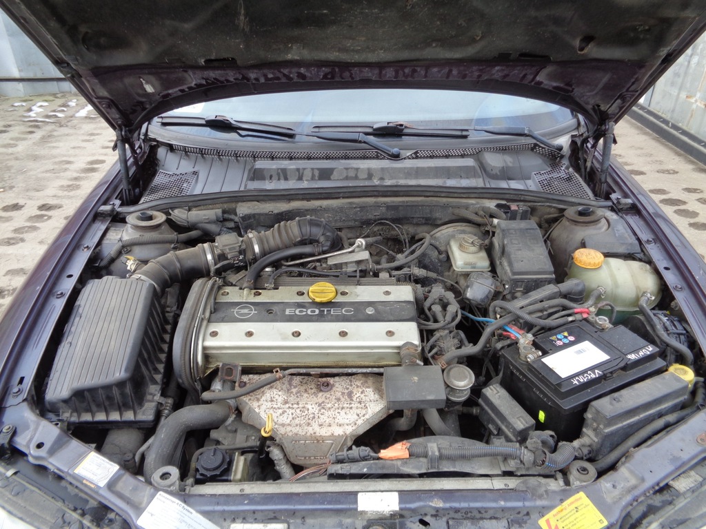 SILNIK X18XE 1.8 16V 115KM OPEL VECTRA B odpala - 7220092020 ...