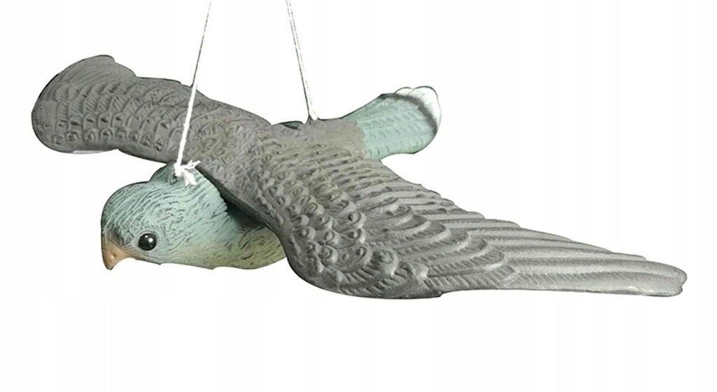 Odstraszacz Ptaków Sztuczny Ptak Sokół Lecący - 13101932596 - oficjalne archiwum Allegro