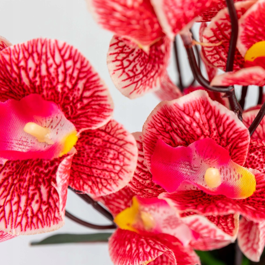 Купить ИСКУССТВЕННАЯ ОРХИДЕЯ В ГОРШКЕ: отзывы, фото и характеристики на ...