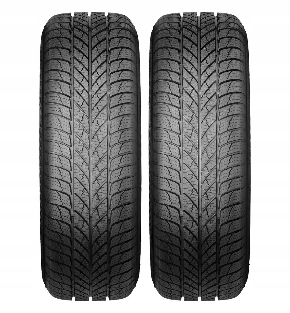 2 x 205/55 R16 GISLAVED EURO FROST 5 91T - 7572419290 - oficjalne ...