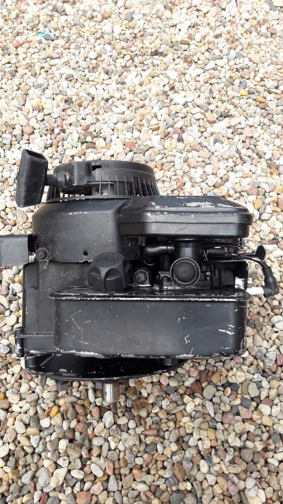 Купить Двигатель Briggs & Stratton Sprint 375: отзывы, фото и ...