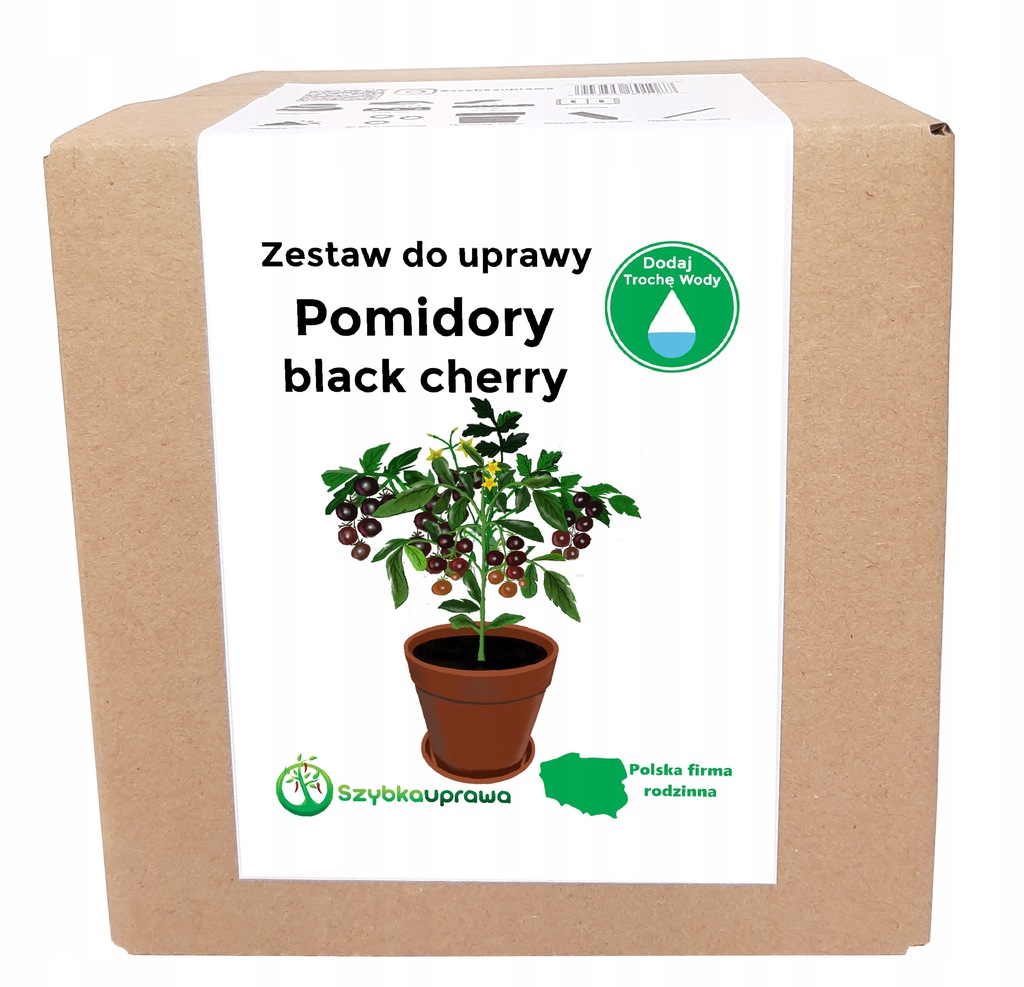 Zestaw do Uprawy Pomidory black cherry 150 nasionX - 11280996424 - oficjalne archiwum Allegro