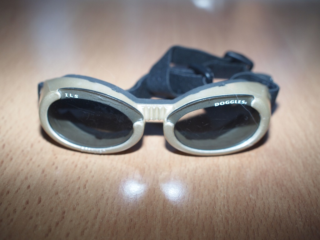 OKULARY DLA PSA DOGGLES ILS - 8935199266 - oficjalne archiwum Allegro