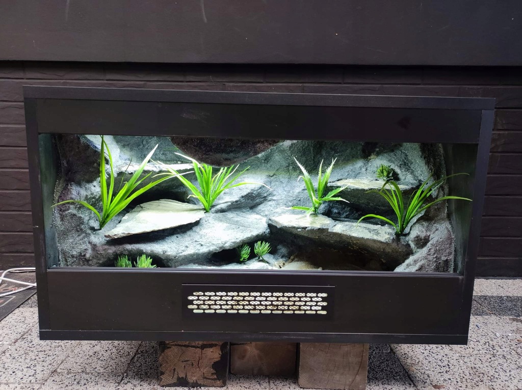 Terrarium 70x40x40 agama gekon jaszczurka - 12696972591 - oficjalne ...