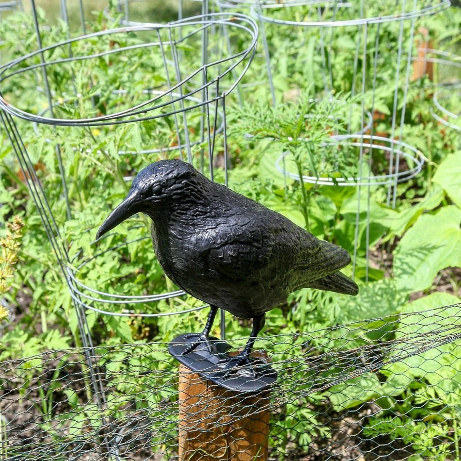 DUŻY PTAK ODSTRASZACZ PTAKÓW GOŁEBI SZPAKÓW XL - 6614111768 - oficjalne archiwum Allegro