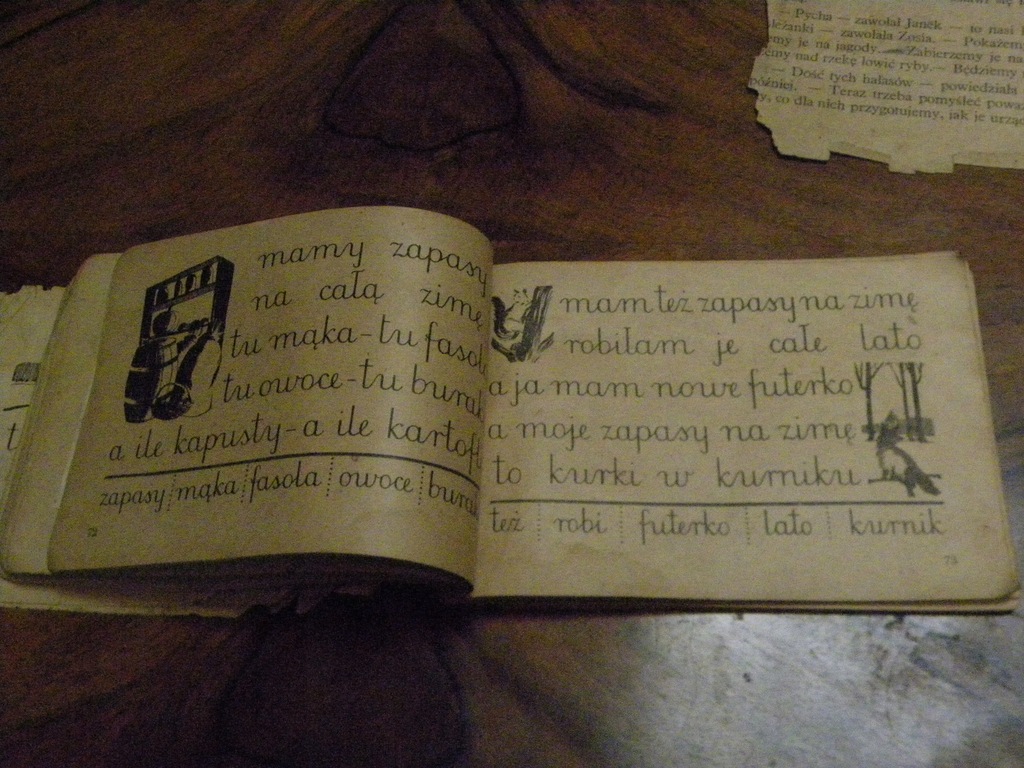 Stary elementarz Falskiego - 7901921146 - oficjalne archiwum Allegro