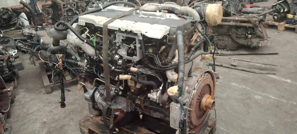 SILNIK MAN TGX TGS D2676 LF 51 52 EURO 6 - 12817172382 - oficjalne ...