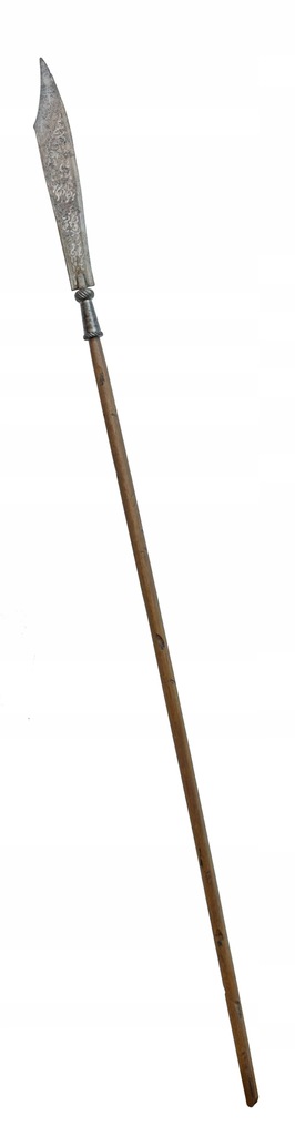 KO Glewia pałacowa trawione ostrze XVII w Wenecja - 11696232491 ...