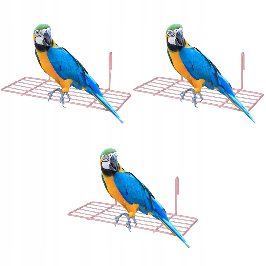 BIRD SHELF PARROT CAGE ACCESSORIES GRID WALL - 14534193610 - oficjalne ...