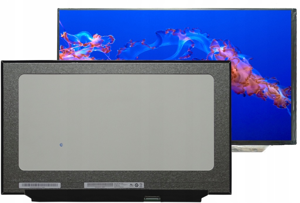 Matryca do Laptopa Acer NITRO 5 AN517-41-R7FP - 11412255678 - oficjalne ...