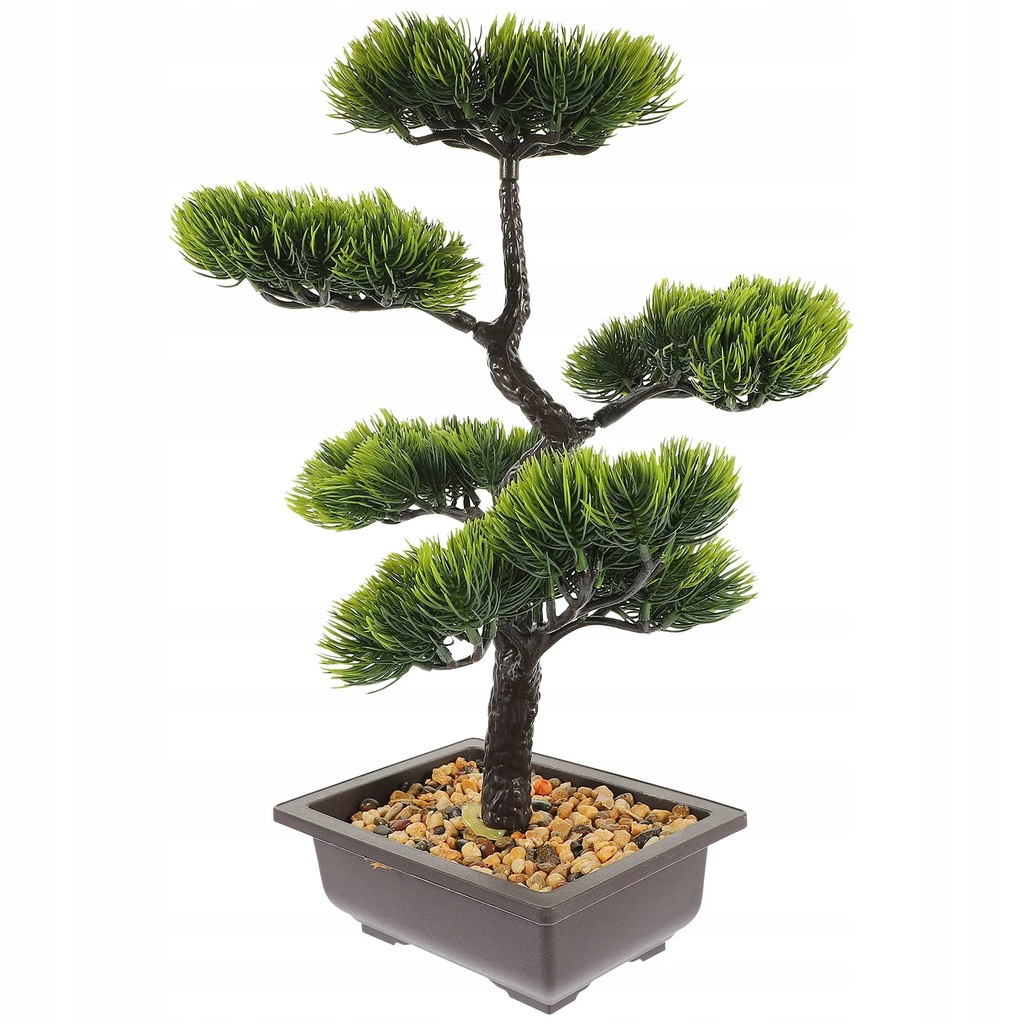 Houseplants Live Indoor Desk Mini Bonsai Tree - 13939501586 - oficjalne ...