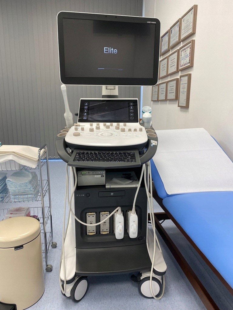 ULTRASONOGRAF USG Samsung WS80 REKONDYCJA 2021 - 12707269853 ...