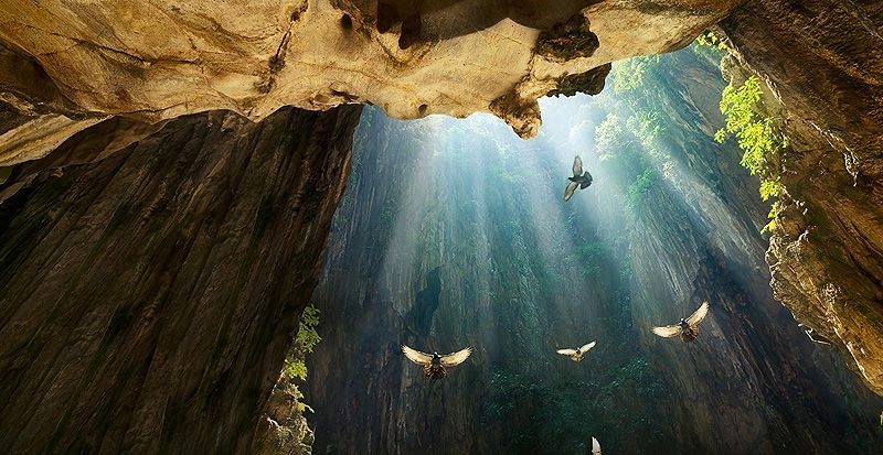 Купить SAMSUNG UE50TU7172 Новый светодиодный телевизор 2020 года 4K ...