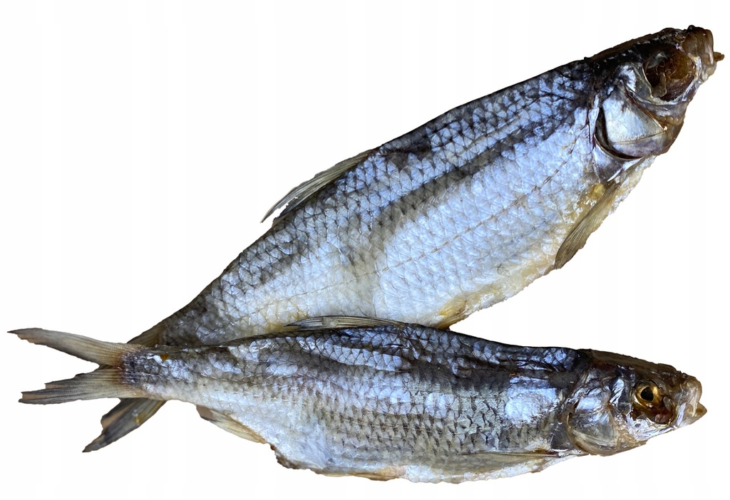 RYBA SUSZONA DO PIWA Wobła 500+/-10g - 14932223078 - oficjalne archiwum ...