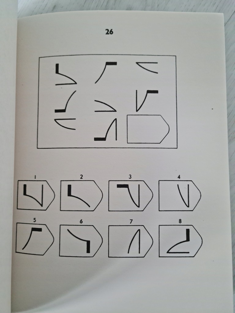 Test Matryc Ravena wersja dla zaawansowanych - 12676698046 - oficjalne ...