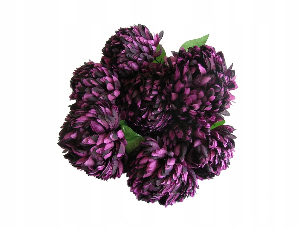 CHRYZANTEMA BUKIET Z CHRYZANTEM CIEMNY FIOLET - 11105689333 - oficjalne ...