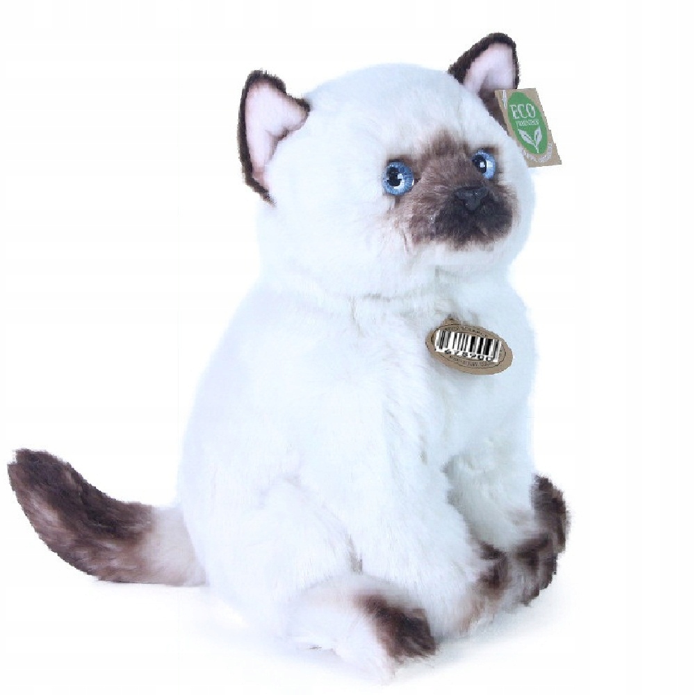 Realistyczny kot RAGDOLL maskotka kotek 26 cm - 12784797711 - oficjalne ...
