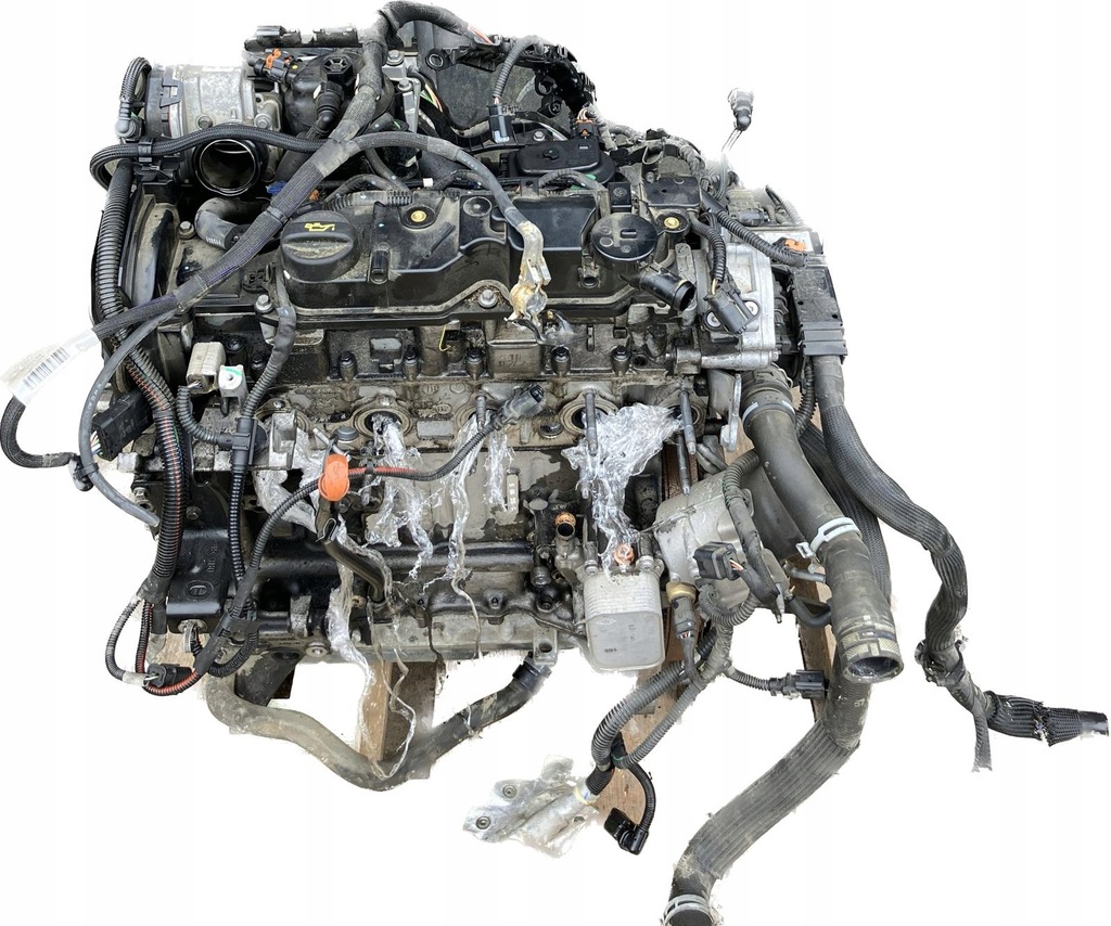 SILNIK WTRYSKI BH02 BHW 1.6 BLUE HDI PEUGEOT - 13626991166 - oficjalne archiwum Allegro