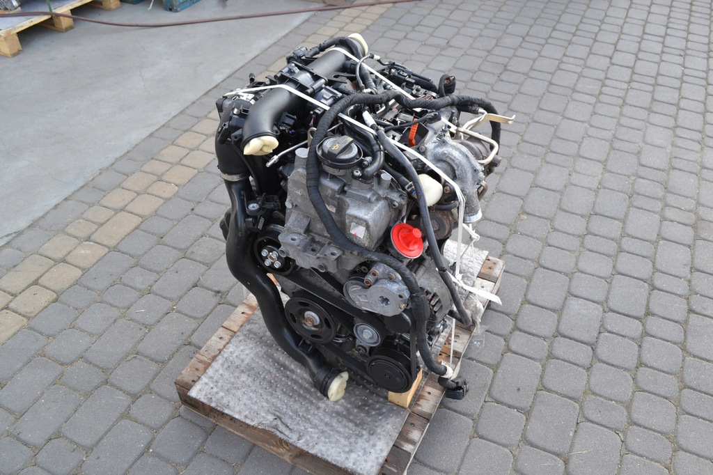 SILNIK 1.4 TFSI SEAT VW SKODA CDG CAV CTH KOMPLETNY - 15371193032 - oficjalne archiwum Allegro