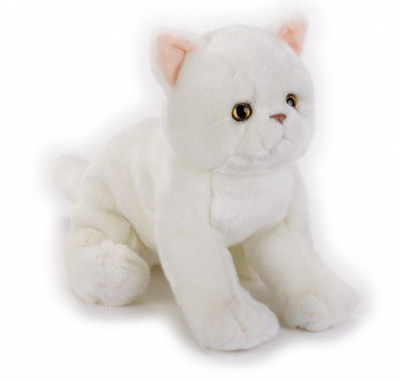 PLUSZAK KOT EGZOTYCZNY NATIONAL GEOGRAPHIC - 14991391582 - oficjalne ...