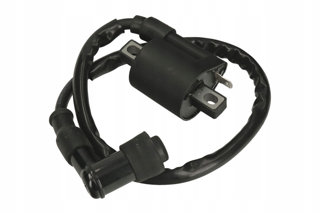 YAMAHA DT TZR APRILIA RS 50 AM6 CEWKA ZAPŁONOWA - 13824537622 ...