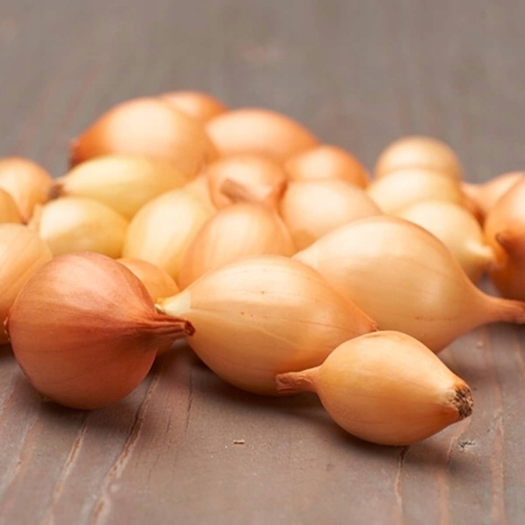 Cebula Dymka STURON 500g okrągła do przechowywania - 13215717508 ...