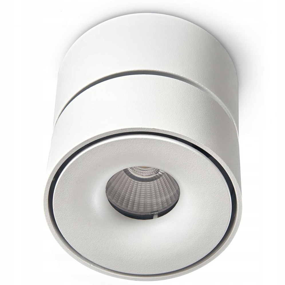 Oprawa Natynkowa LED SPOT TUBA 10W RUCHOMA 10cm - 10862050262 ...