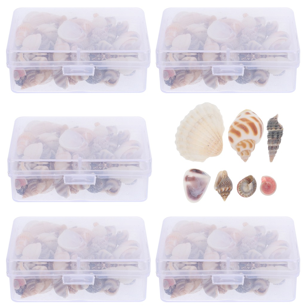 Seashell Conch Garnish Ocean Shells 5 Boxes - 14102460697 - oficjalne ...