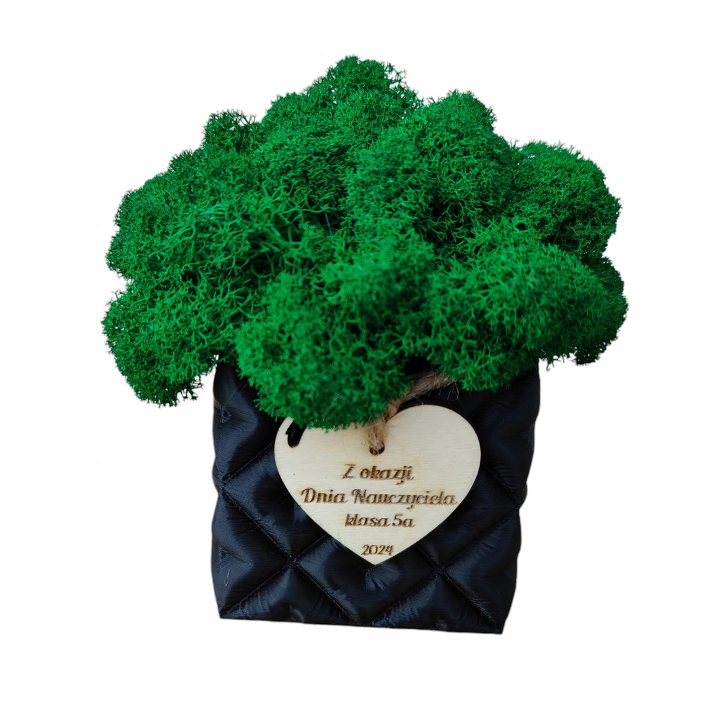 Doniczka dla NAUCZYCIELA podziękowanie Z MCHEM CHROBOTKIEM mały upominek - 16537034092 ...