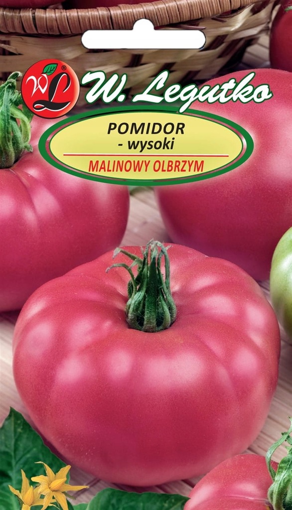 Pomidor gruntowy Malinowy Olbrzym Legutko 1g - 11690263911 - oficjalne archiwum Allegro