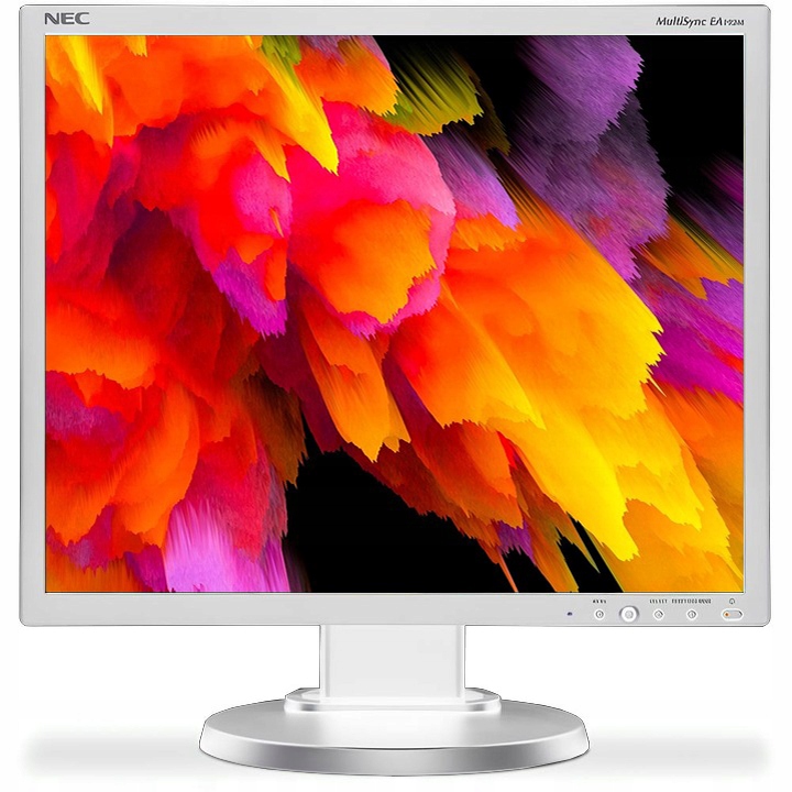 Monitor NEC Komputerowy LED z głośnikami DVI VGA 19 Cali Biurowy ...