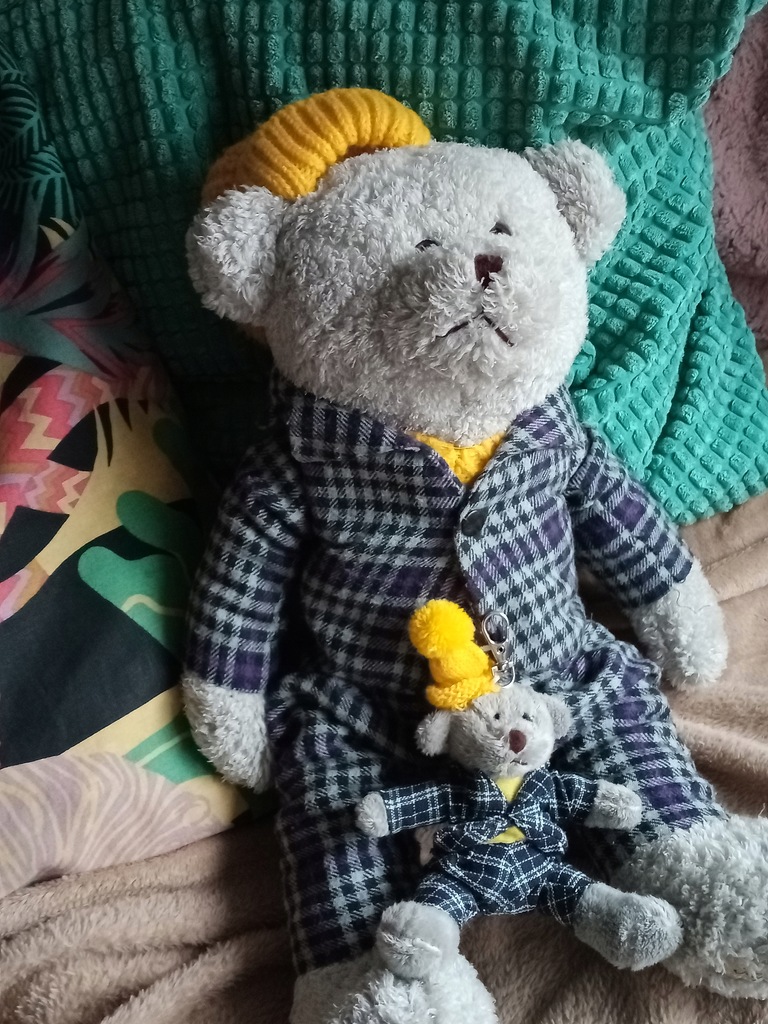 Maskotka Kup Misia 2019 Oliwier miś 41 cm TVN - 13005827871 - oficjalne ...