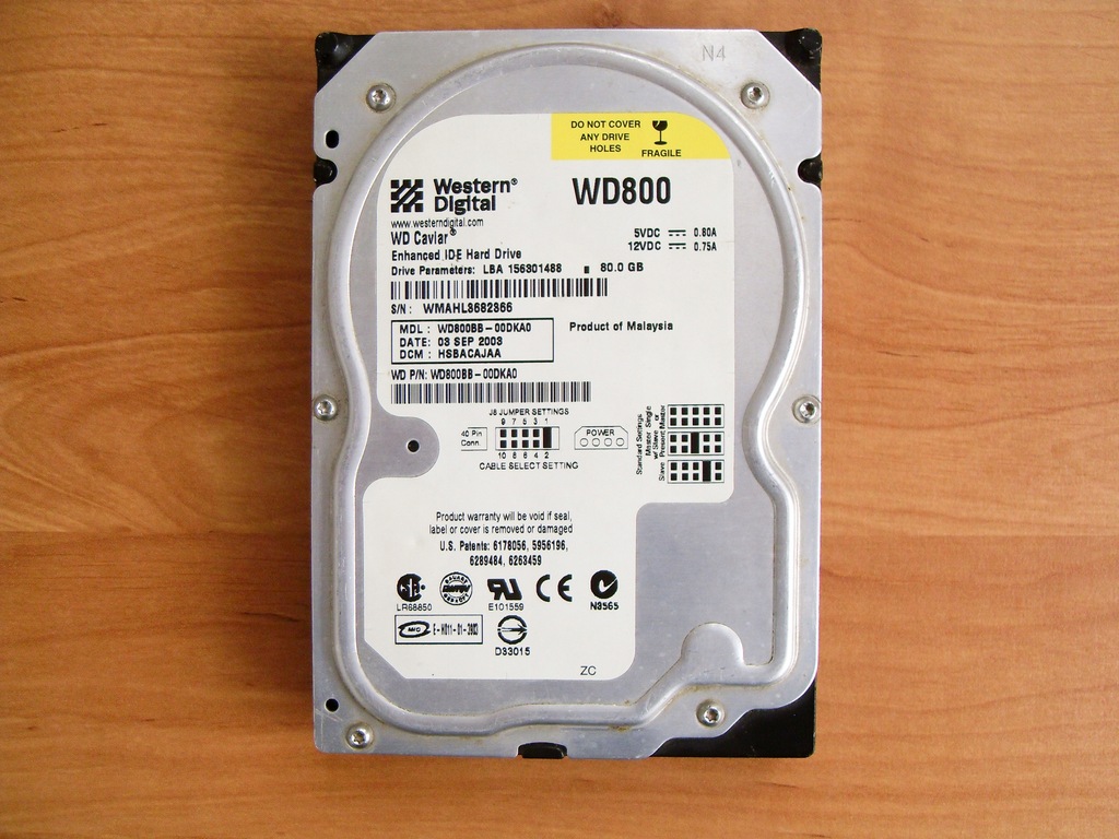Dysk HDD 3,5" WD800 Caviar 80 GB IDE/ATA PATA 7200 - 13308919840 ...