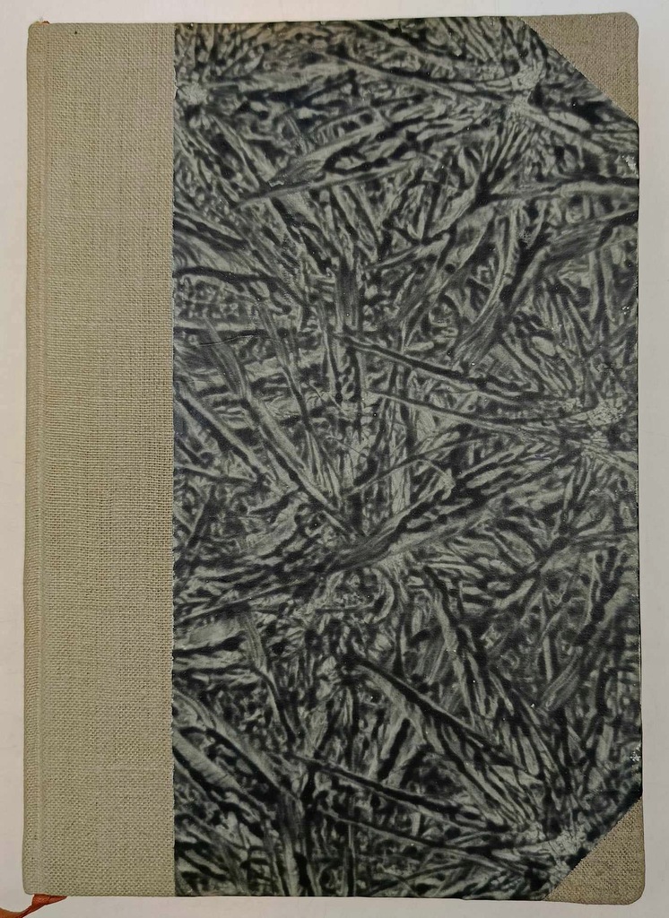 Legenda Kallimacha w Polsce + Kallimach jako dyplomata i polityk ...