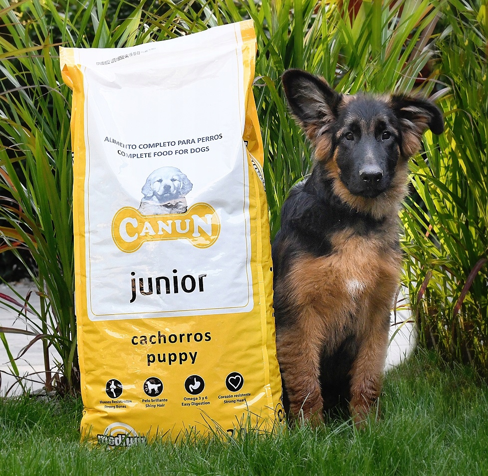 Canun Junior szczeniaki dużych ras OWCZARKI 20kg - 8995667604 ...